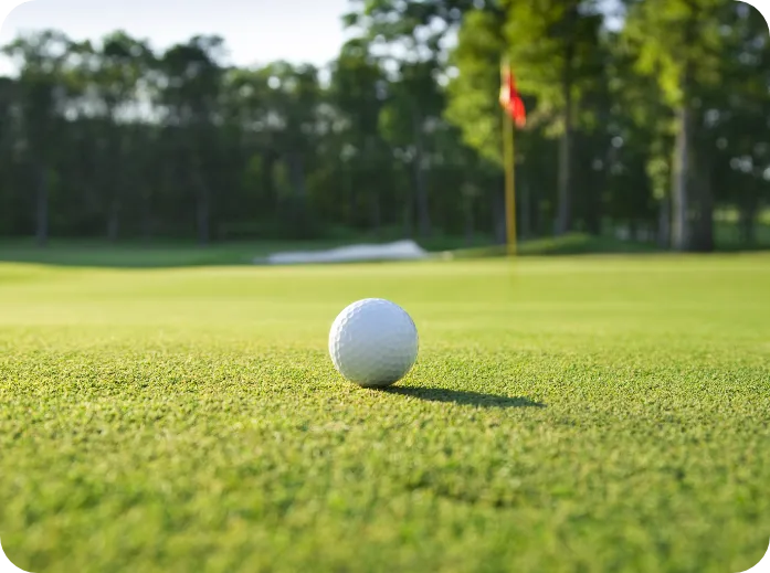 Gholfdag 2025 | PNHS